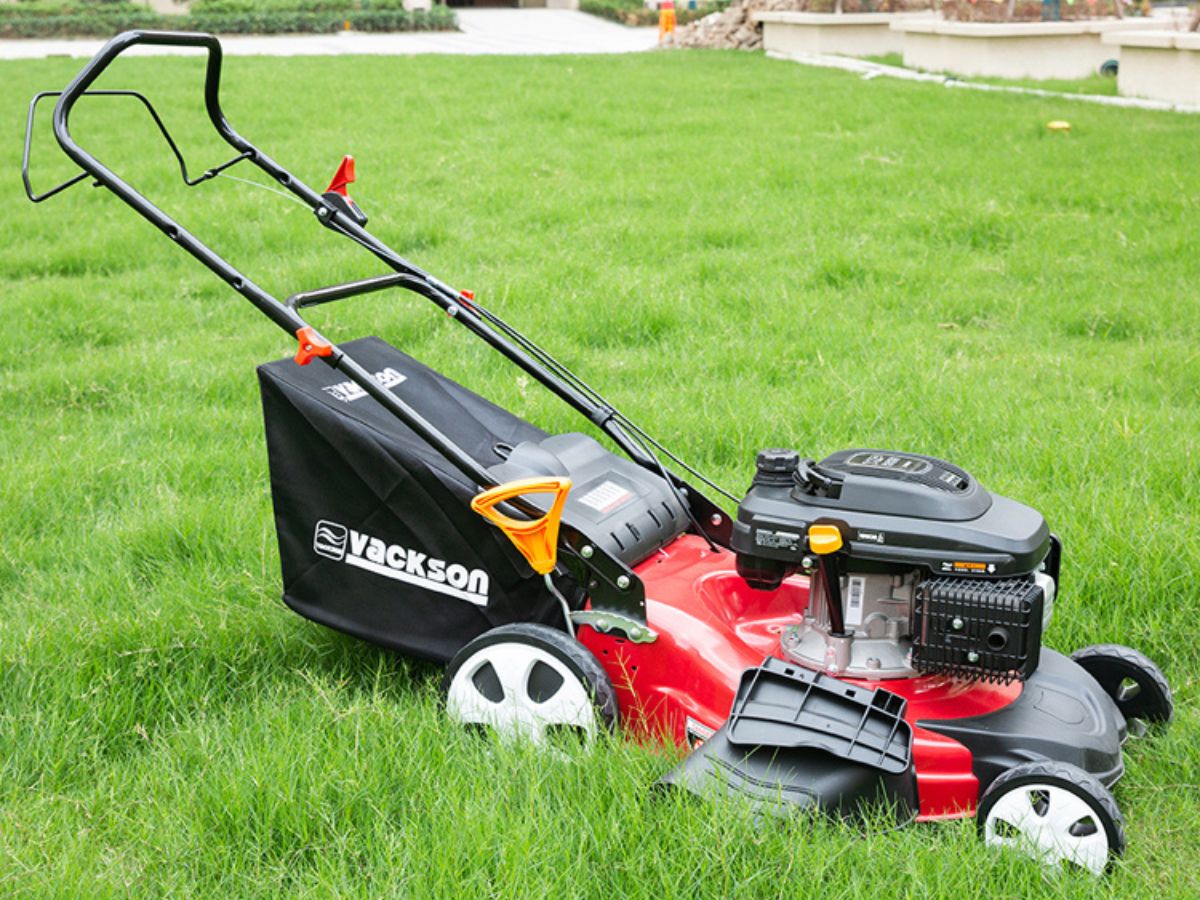 Lawn Mower Buying Guide | My Chinese Recipes